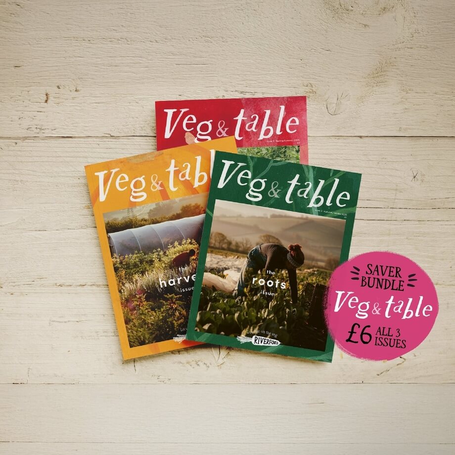 Veg & Table magazine bundle x3 / Riverford