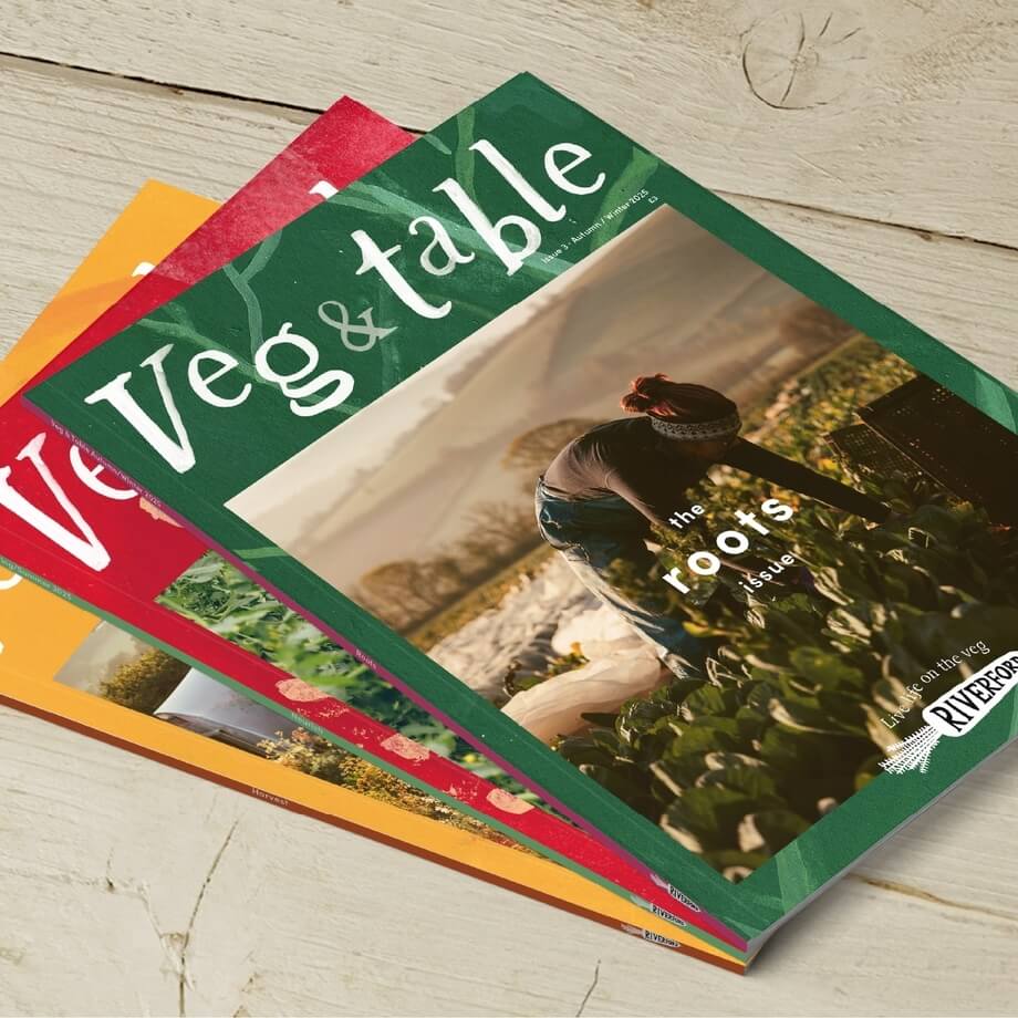 Veg & Table magazine bundle x3 / Riverford