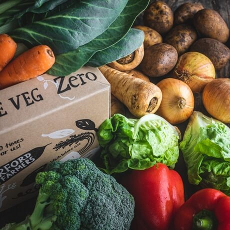 Zero packaging organic veg box - medium / Riverford